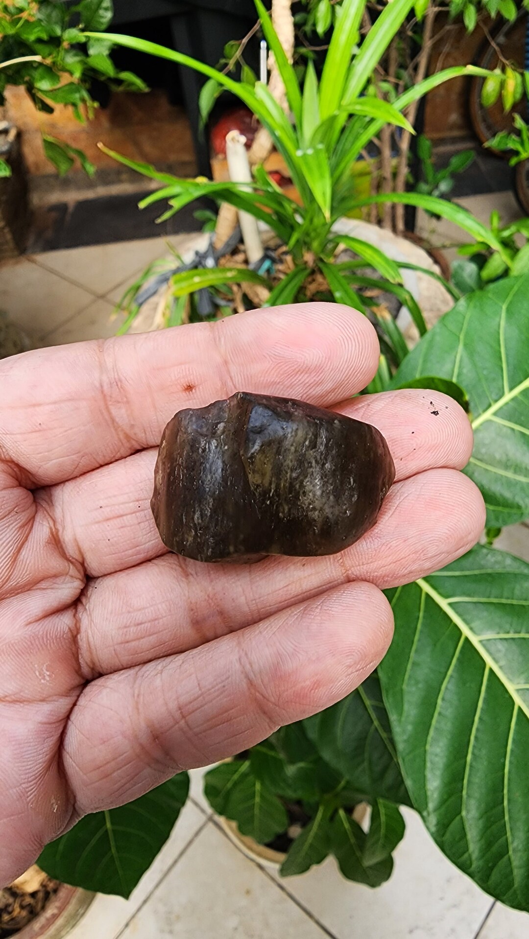 Libyan Desert Glass / Libyan Gold Tektite / Libyan Glass / Libyan ...