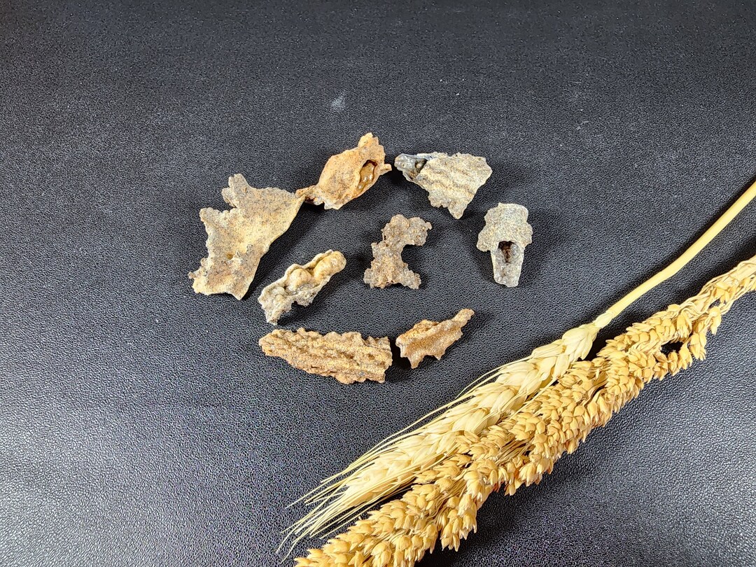 LOT of 8 Fulgurite Lightning Glass . FULGURITE , Lightning Strikes Sand ...