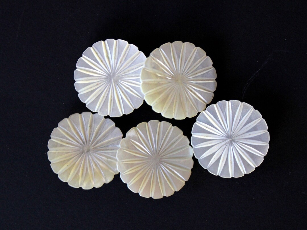 Antique Carved Mother of Pearl Sunburst Buttons 19th Century Set of ...