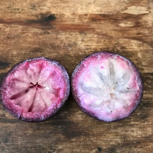 Annona Squamosa purple Purple Sugar Apple Seeds Red Anon - Etsy