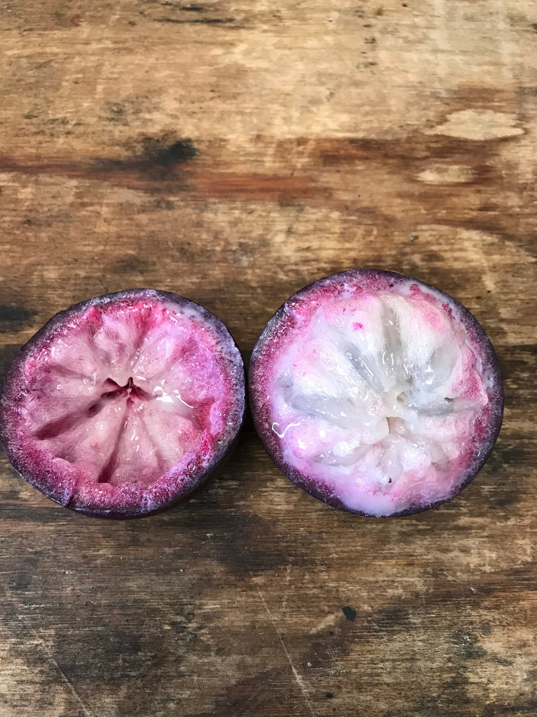 Jamaican Star Apple