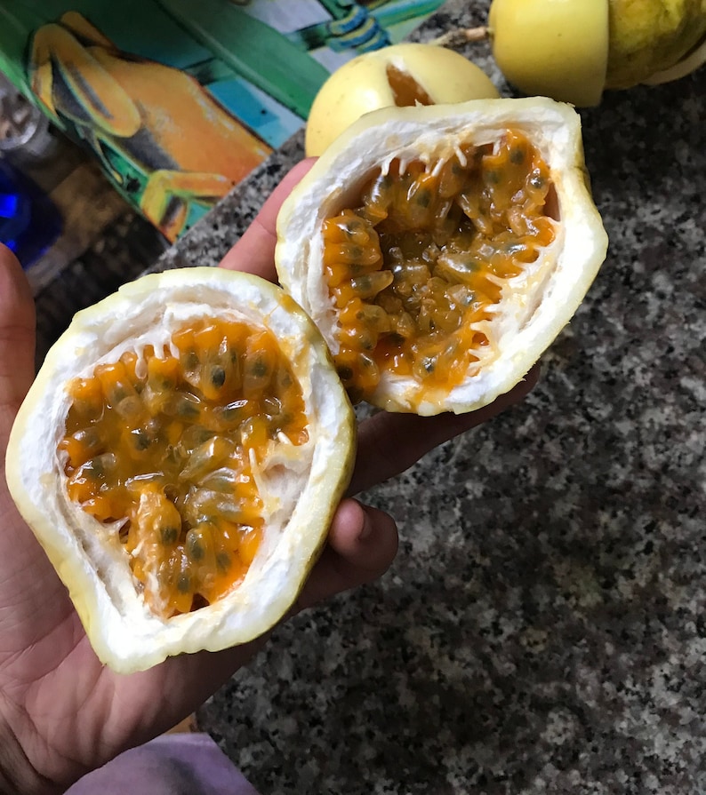 Yellow Passionfruit (lilikoi) Seeds - Etsy