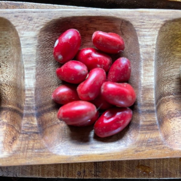 Miracle Fruit Tree Seeds - Etsy