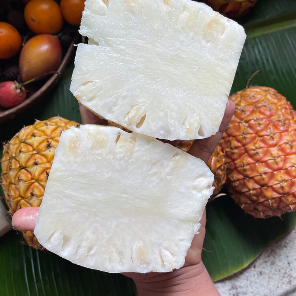 White Pineapple - Etsy