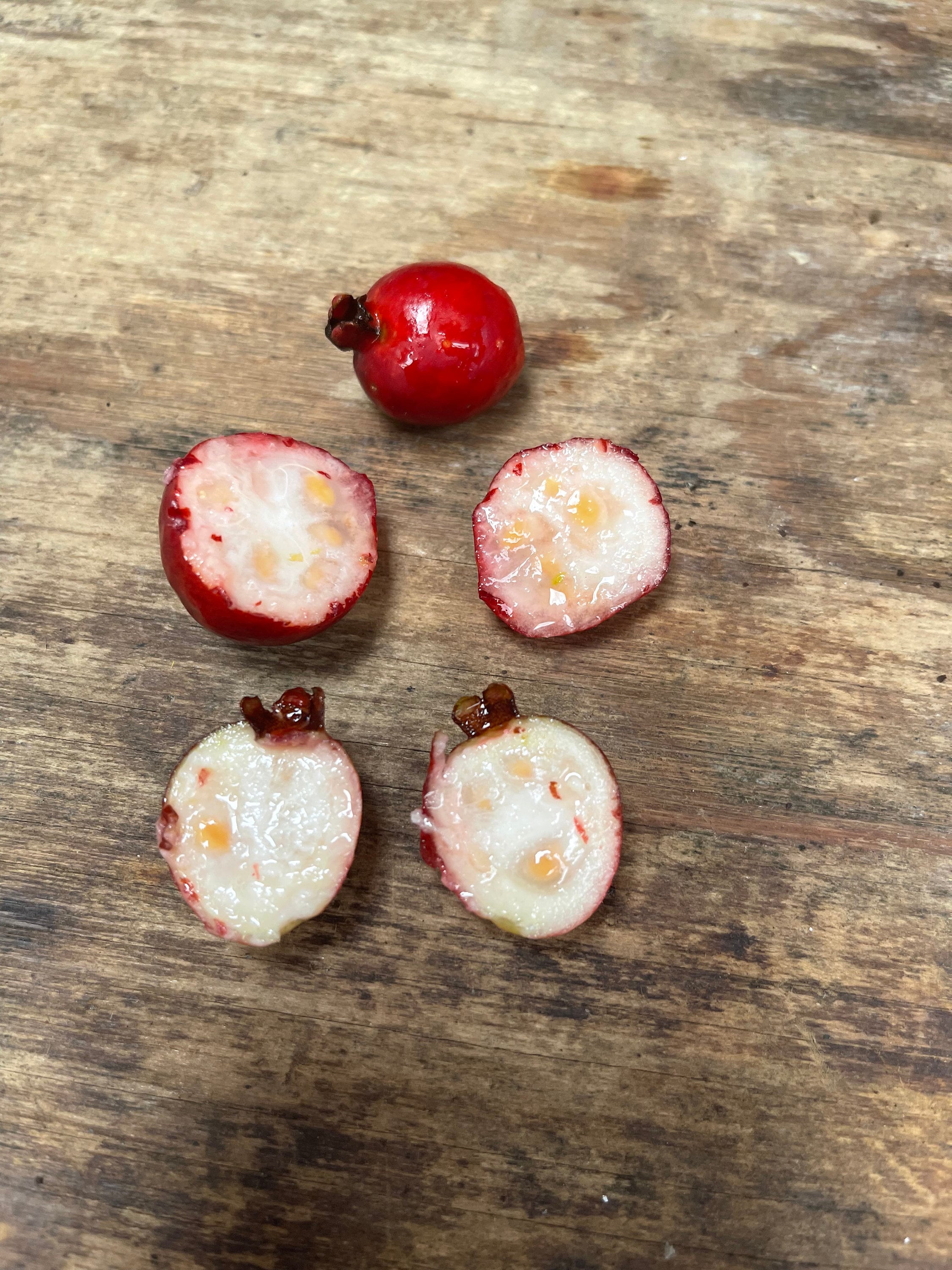 Red Strawberry Guava Seeds - Etsy