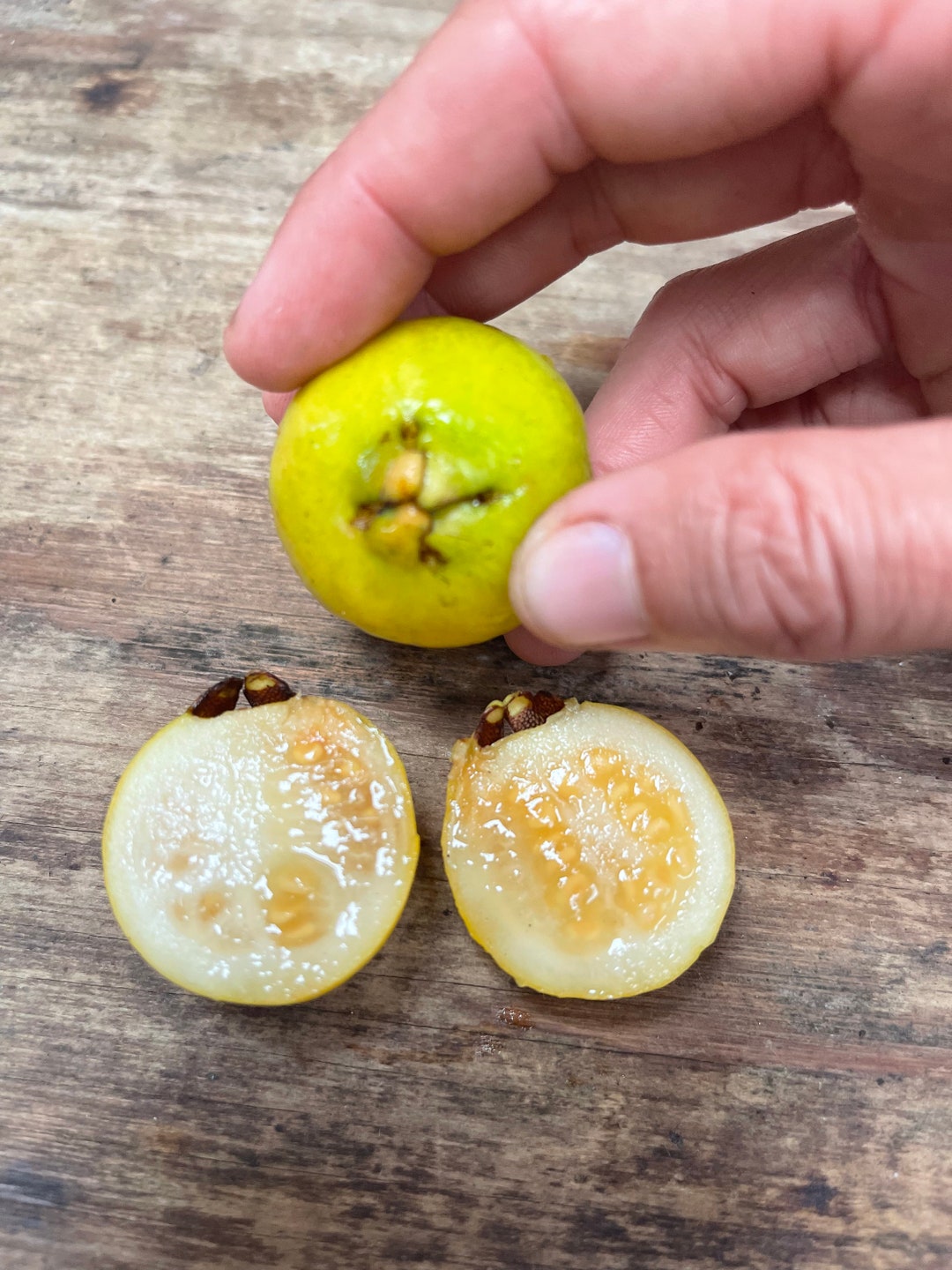 Yellow Strawberry Guava Seeds - Etsy