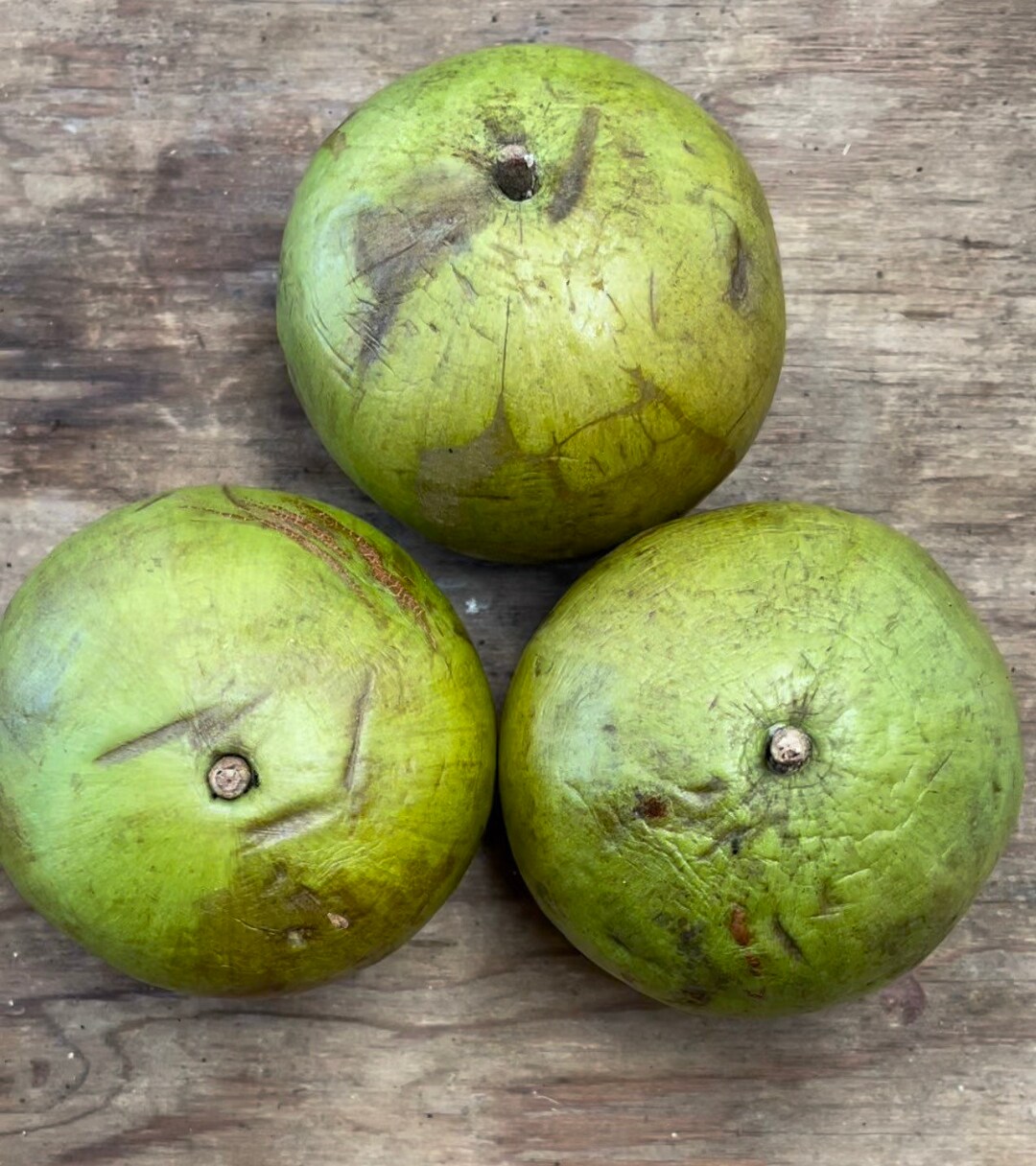 Green Star Apple Seeds - Etsy