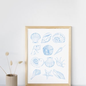 Seashells Coastal Wall Art in 3 Colors: Beach House Decor (digital ...