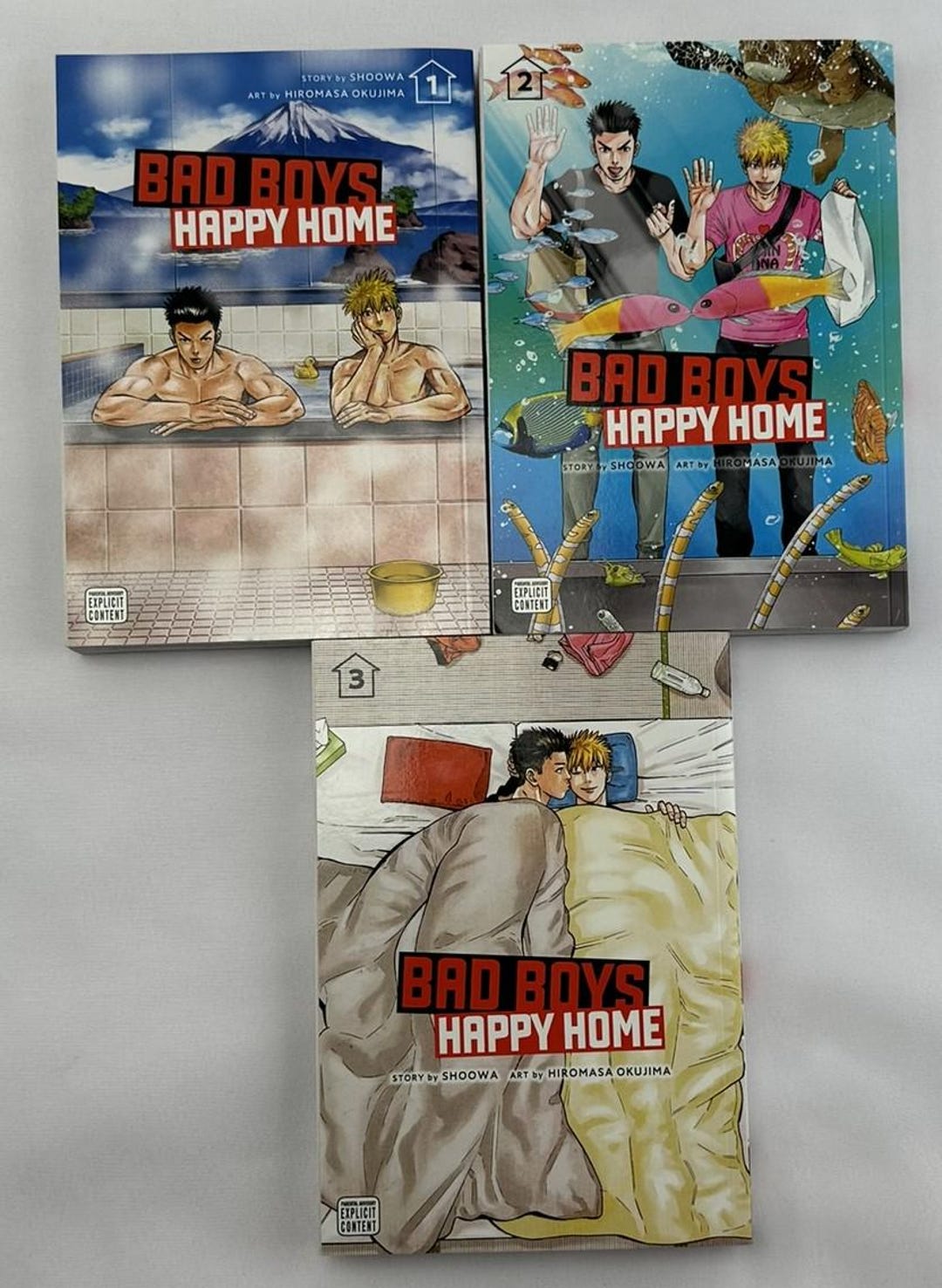 Bad Boys Happy Home Manga 1-3 Books New FREE SHIPPING - Etsy
