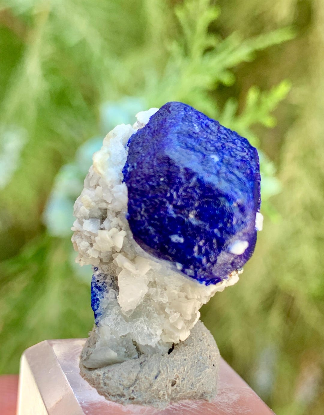 Terminated Ink Blue Lazurite Crystal on Marble Specimen (28x21x20 Mm ...
