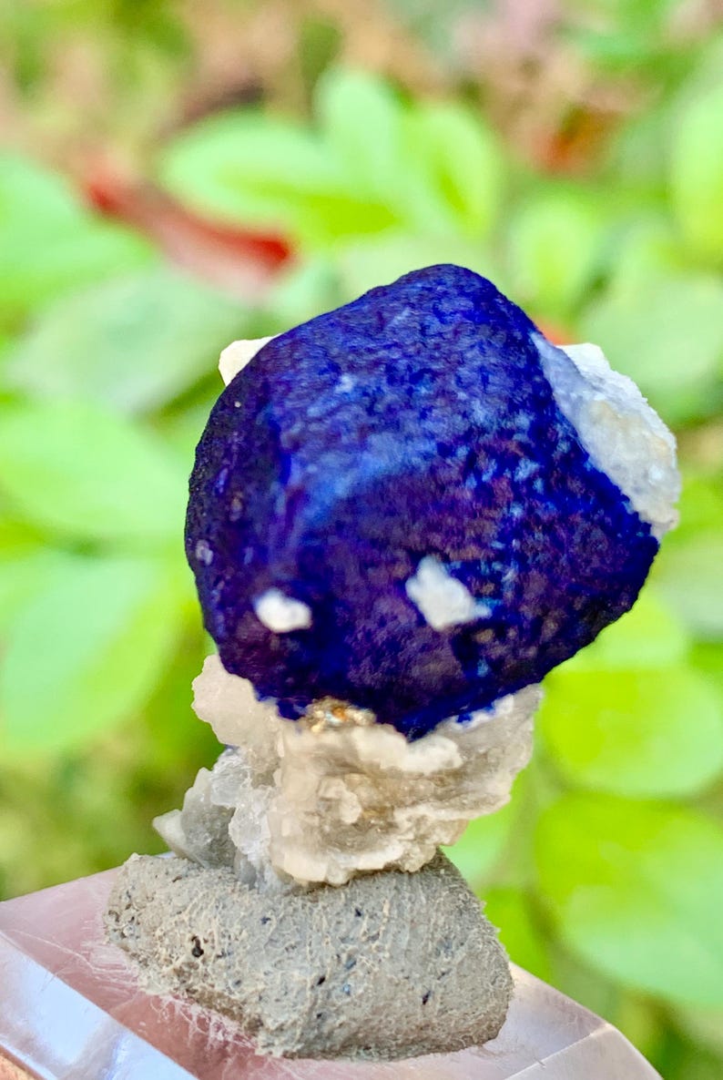Terminated Ink Blue Lazurite Crystal on Marble Specimen (28x21x20 Mm ...