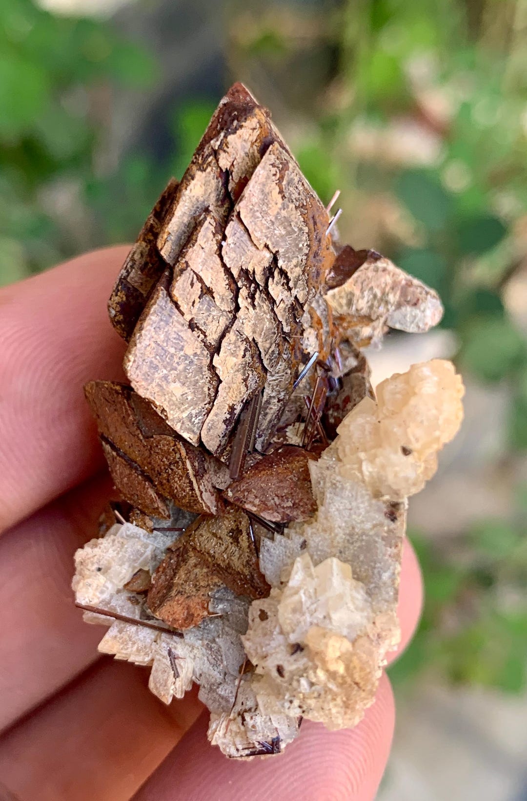 30 GM Stunning Rare Combination of Brown Siderite With Red Rutile and ...