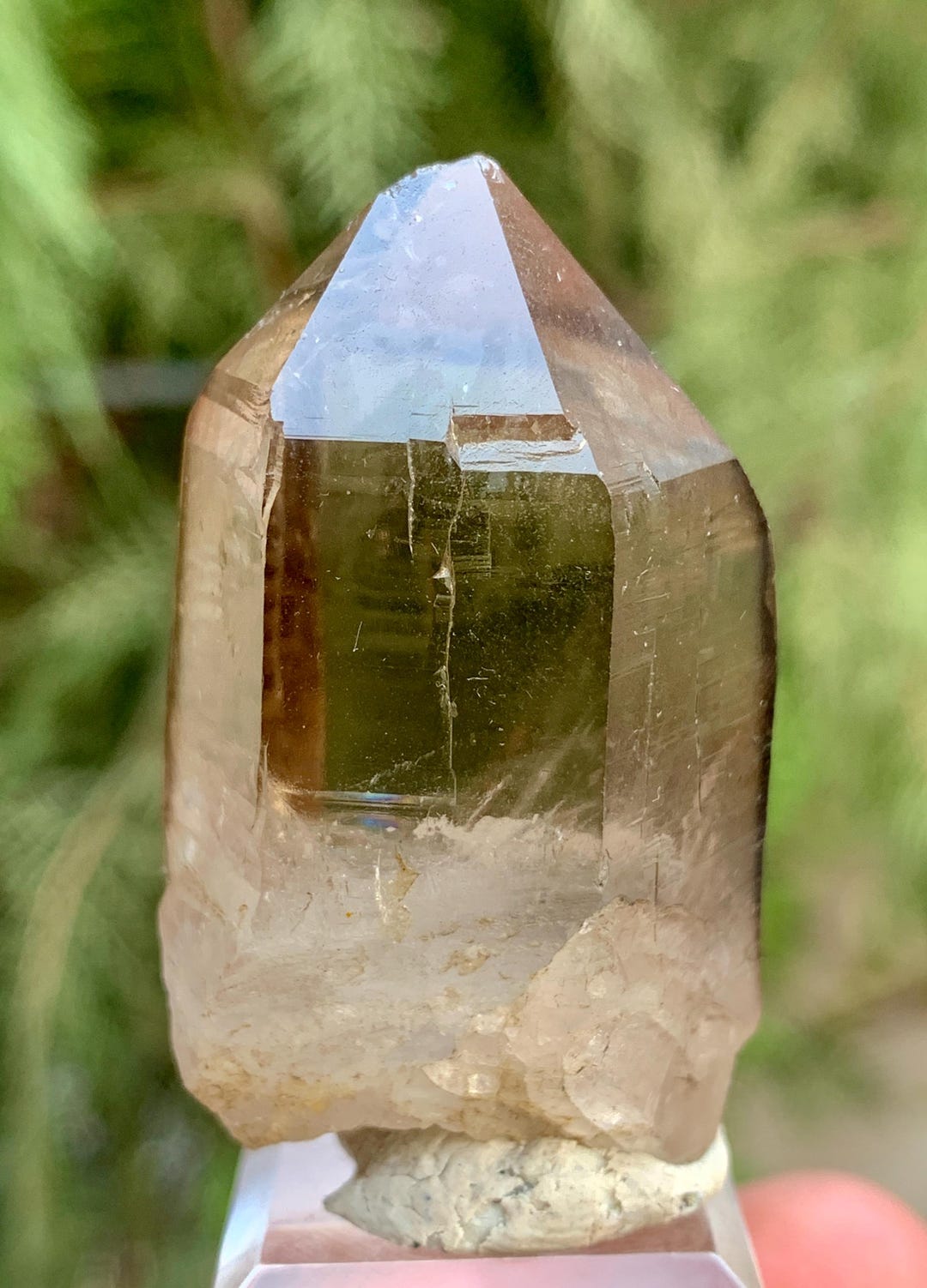 43 GM Stunning Lustrous Smokey Quartz Crystal Specimen From Skardu ...