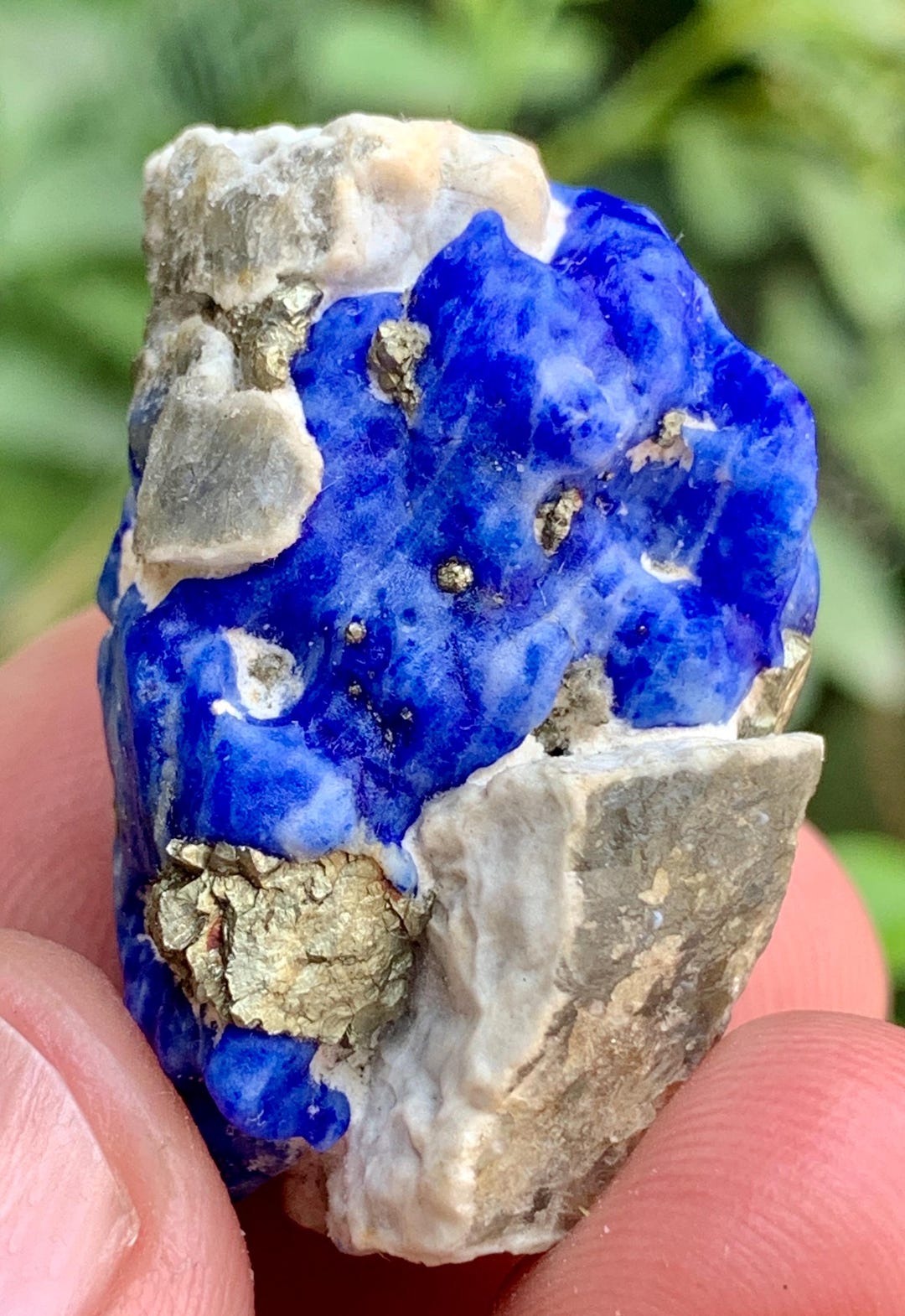 19 GM Gorgeous Ink Blue Blue Lazurite With Pyrite on Matrix Specimen ...