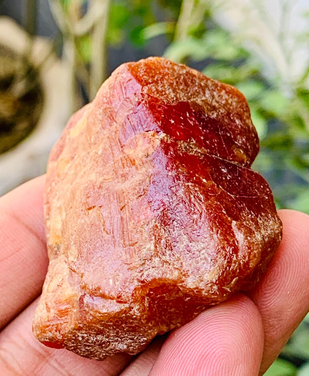 172 GM Rare Terminated Blood Red Scheelite With Quartz Crystal Specimen ...
