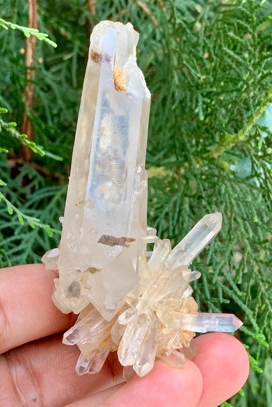 71 GM Stunning Amazing Shape Lustrous Terminated Clear Quartz Crystal ...