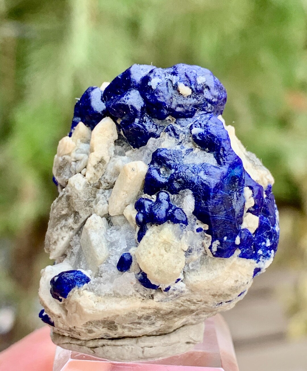 34 GM Stunning Terminated Ink Blue Lazurite Bunch With Pyrite and ...