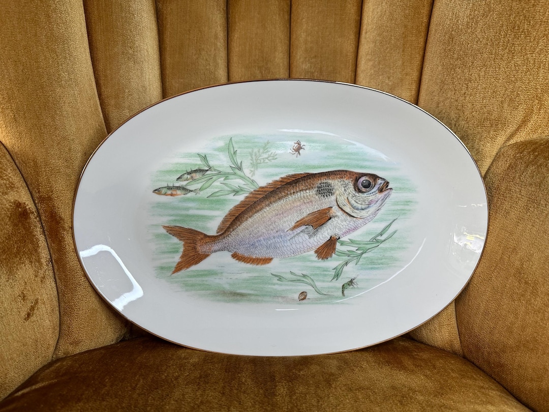 Vintage Kuba Porzellan Bavaria Fish Platter, Gold Trim Dinnerware - Etsy