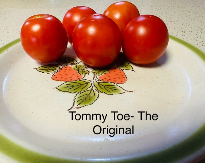 Original Tommy Toe Cherry Tomato Seeds - Etsy