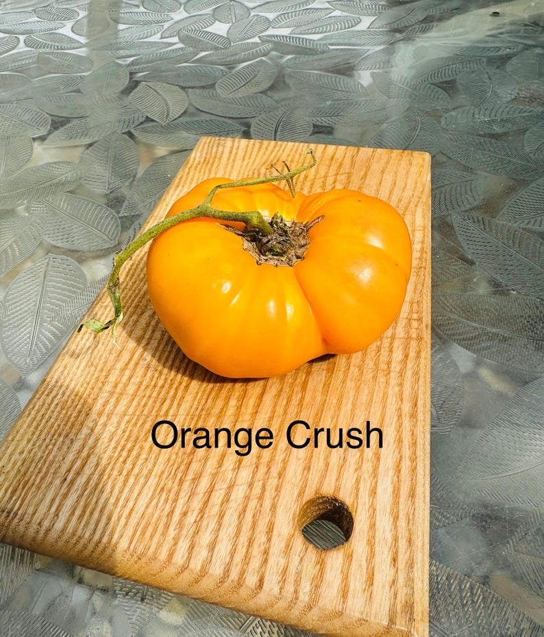 Orange Crush Tomato Seeds - Etsy