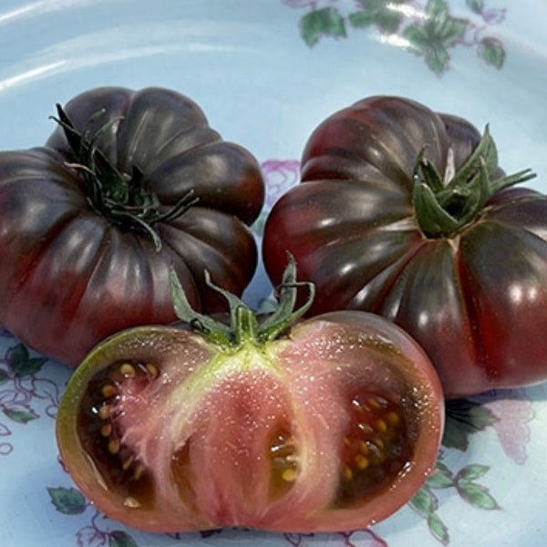 Purple Galaxy Tomato Seeds - Etsy