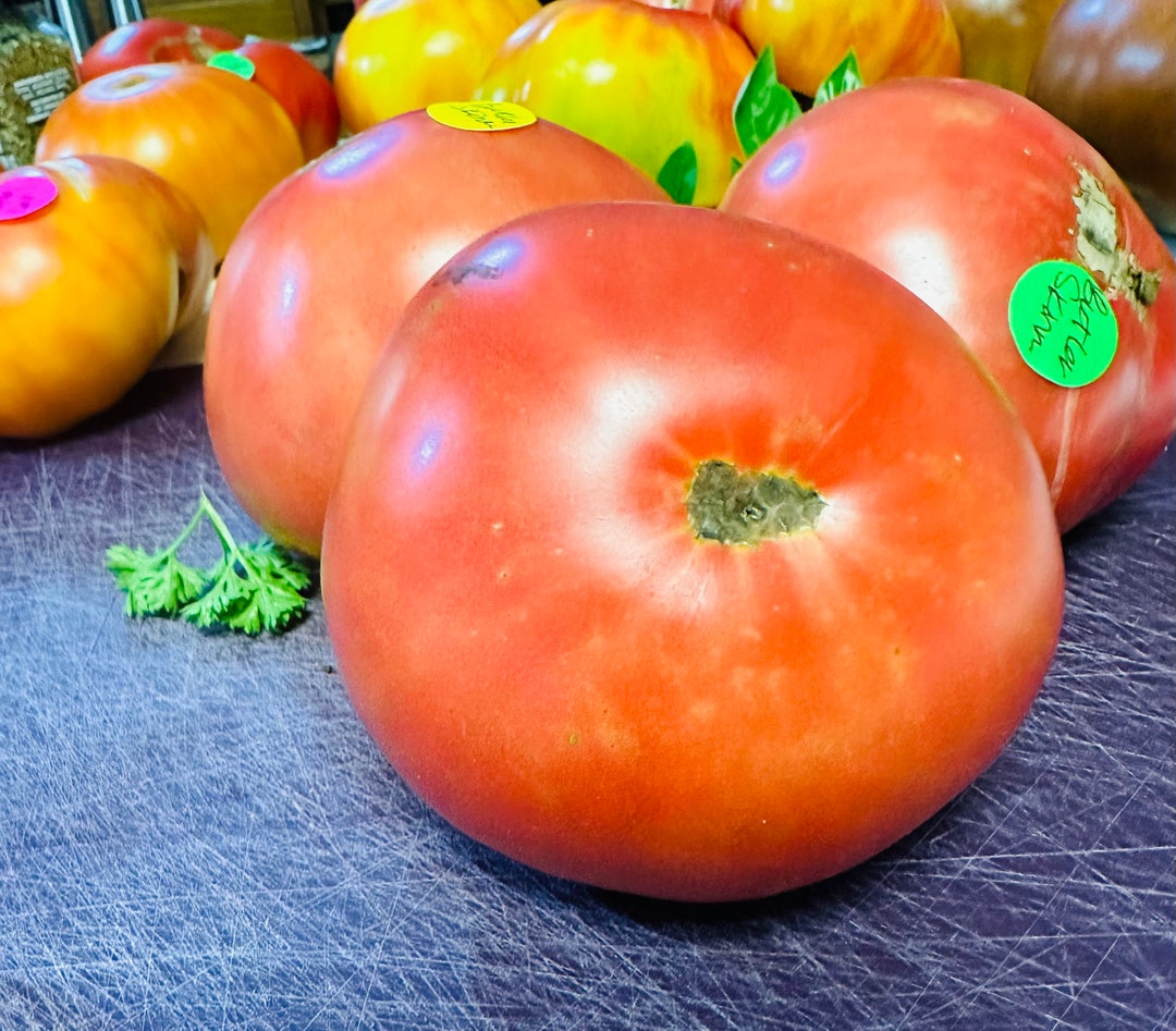 Butler Skinner Tomato Seeds - Etsy