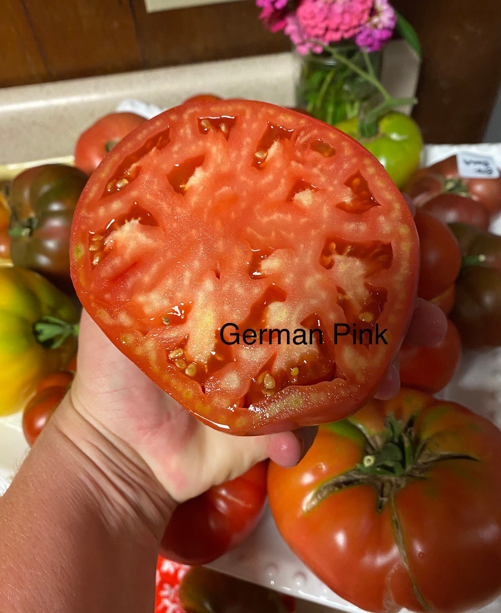 German Pink Heirloom Tomato Seeds - Etsy