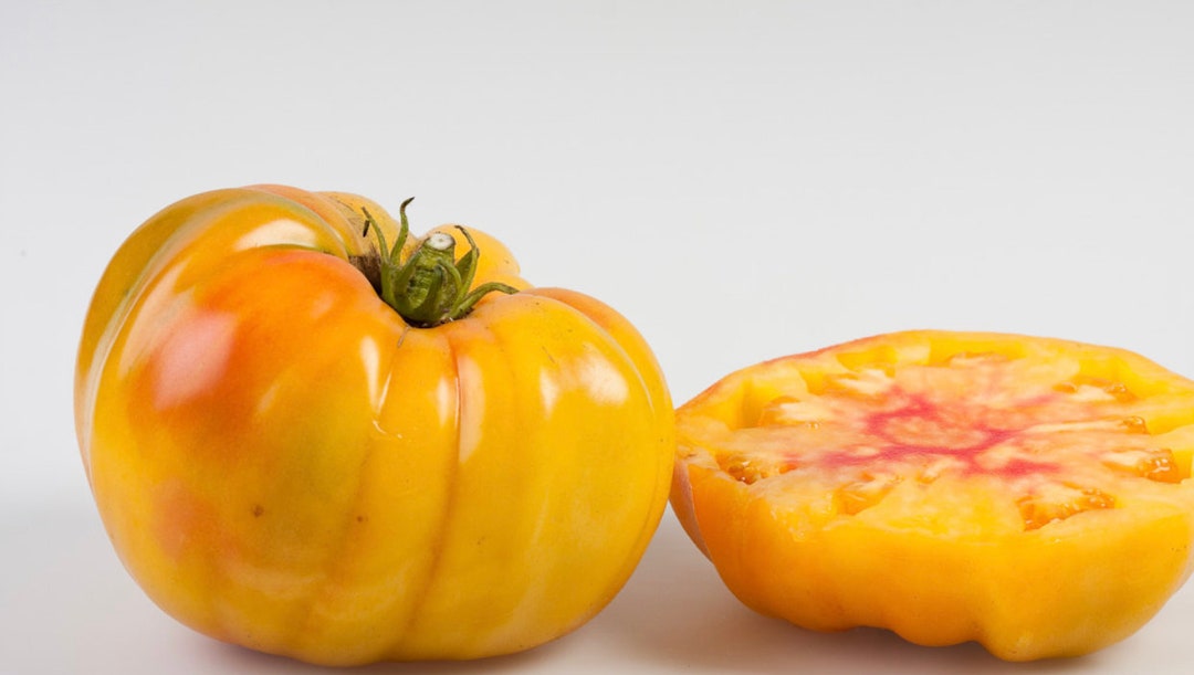 Virginia Sweets Tomato Seeds - Etsy