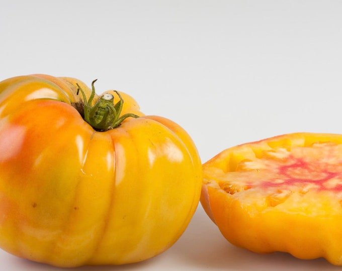 Virginia Sweets Tomato Seeds - Etsy