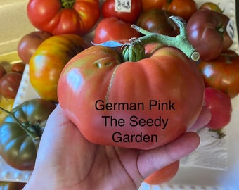Heirloom Tomato CLEAR PINK 60 Day Rosy Pink Determinate 25 Seeds - Etsy