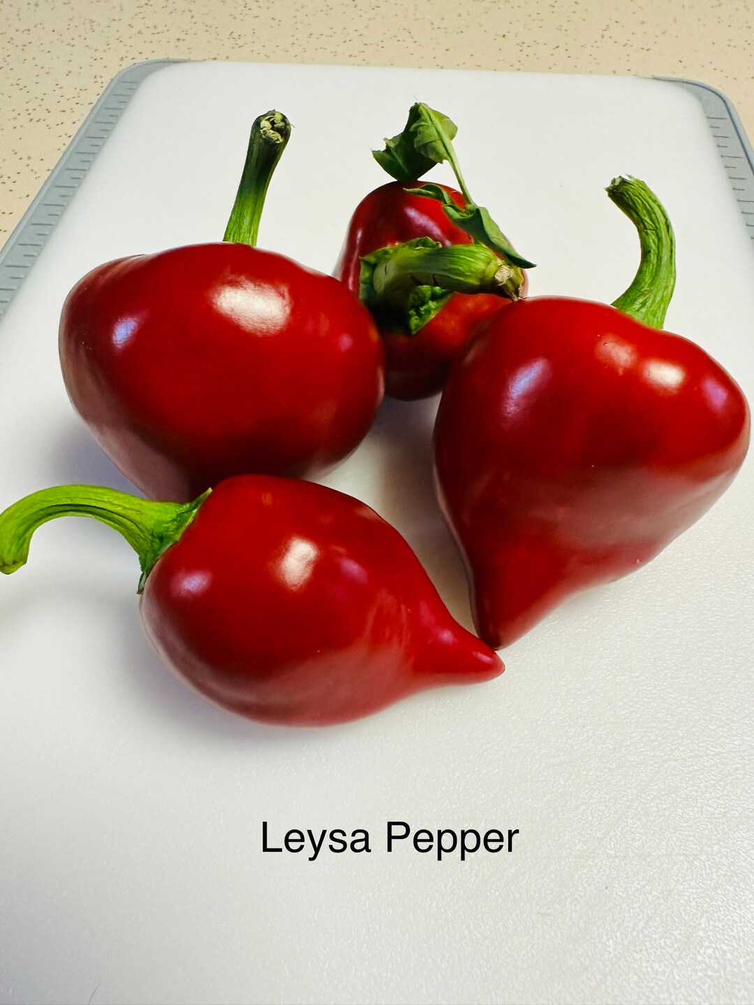 Leysa Pepper Seeds - Etsy