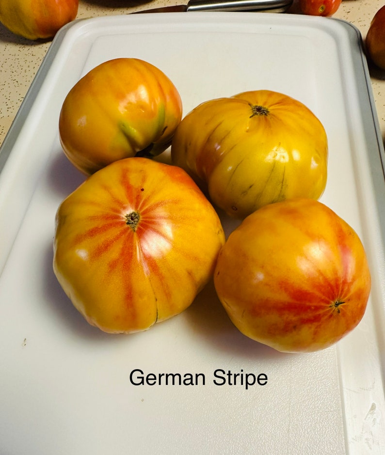German Stripe Tomato Seeds - Etsy