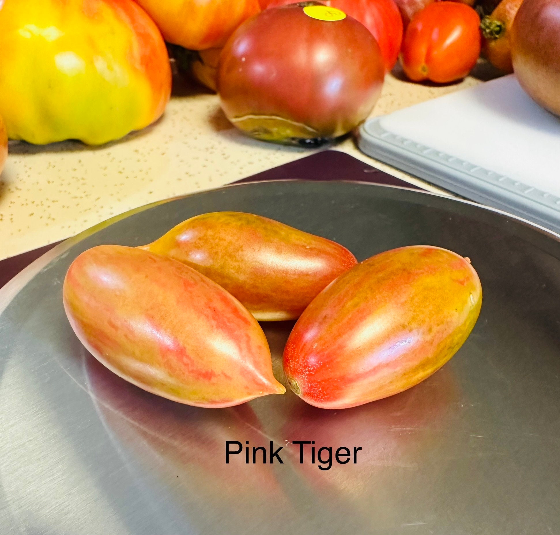 Pink Tiger Tomato Seeds - Etsy