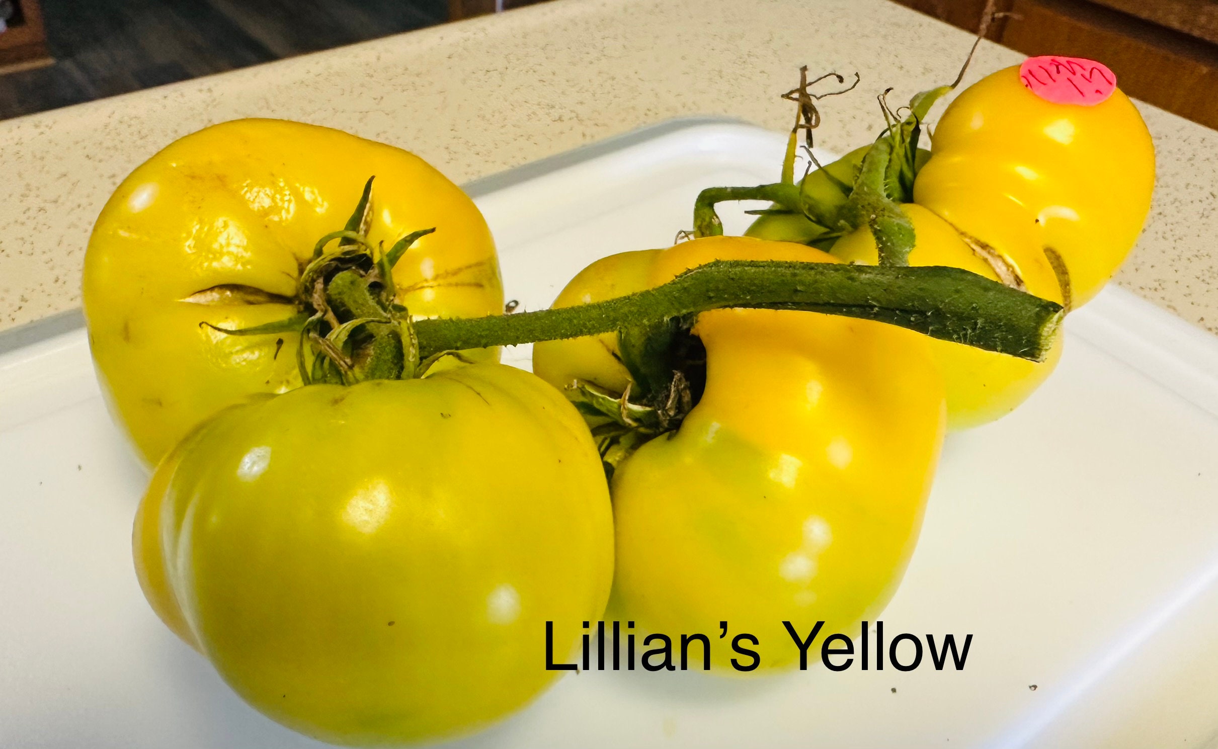 Lillians Yellow Heirloom Tomato Seeds - Etsy