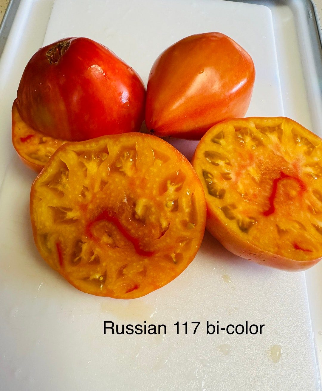 Russian Bi-color 117 Tomato Seeds - Etsy