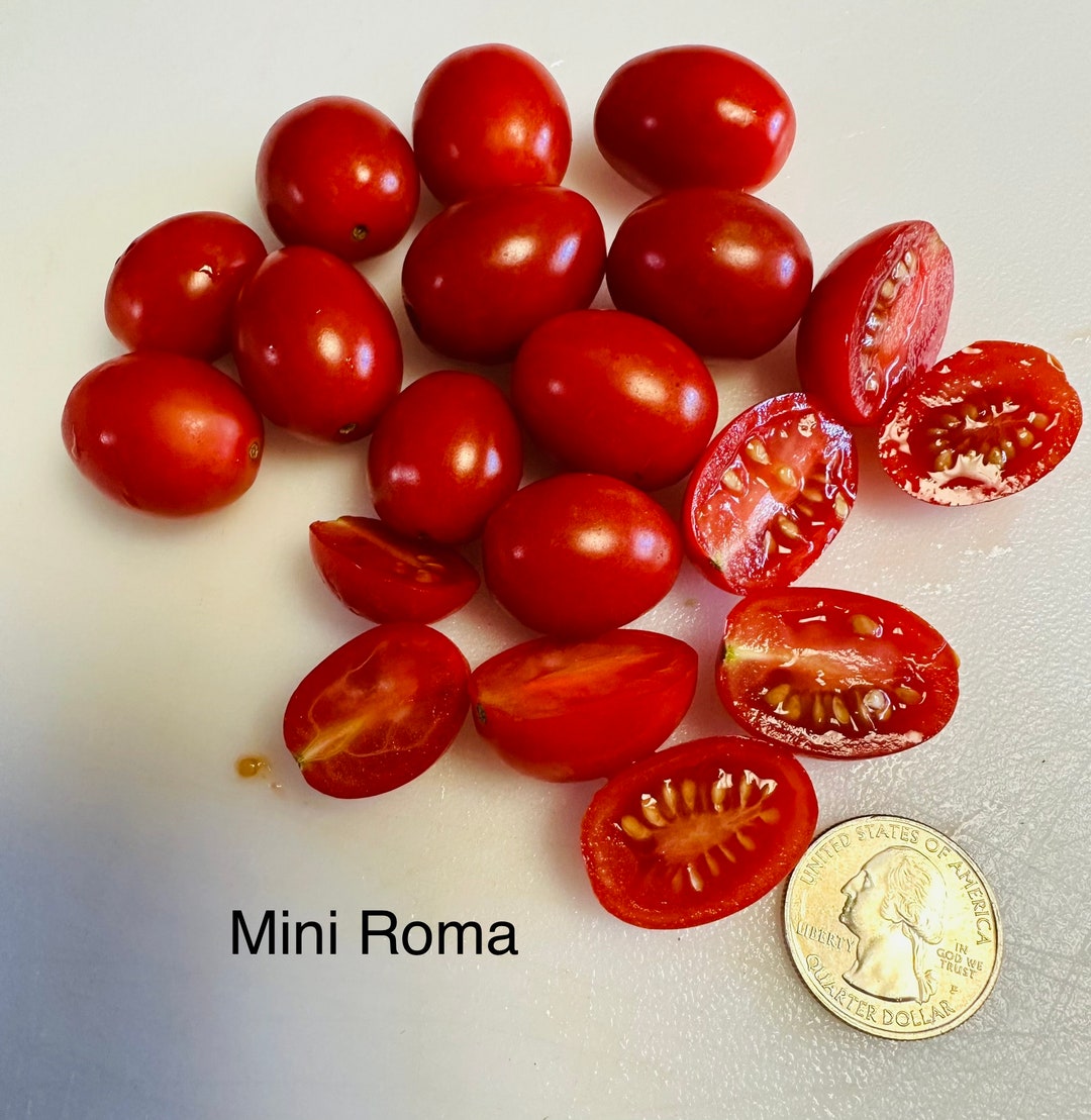 Mini Roma Tomato Seeds - Etsy