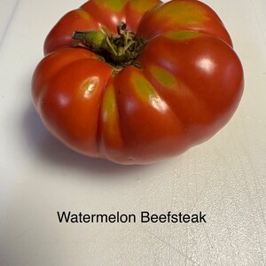 Watermelon Beefsteak Heirloom Tomato Seeds - Etsy