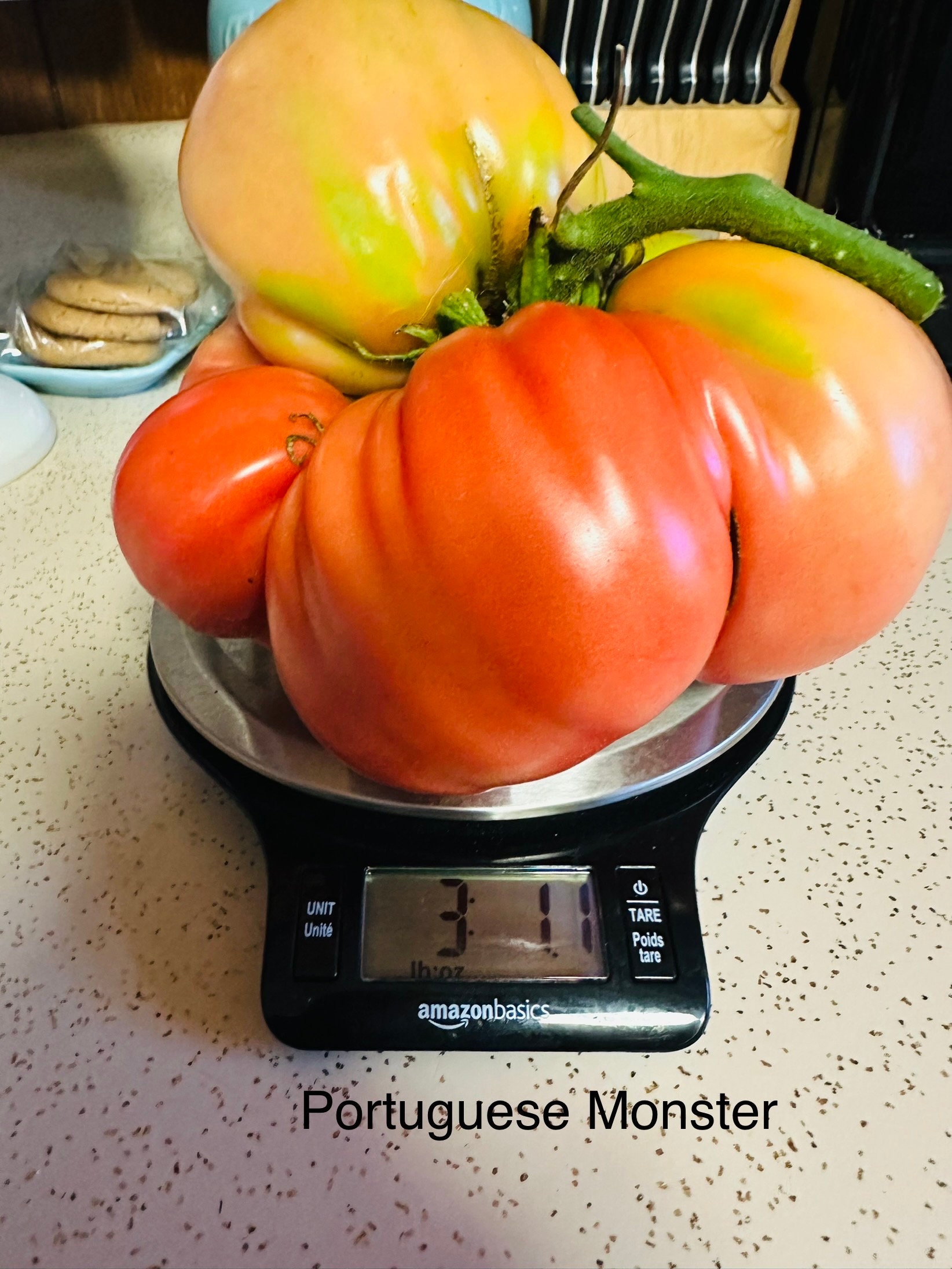 Portuguese Monster Heirloom Tomato Seeds - Etsy