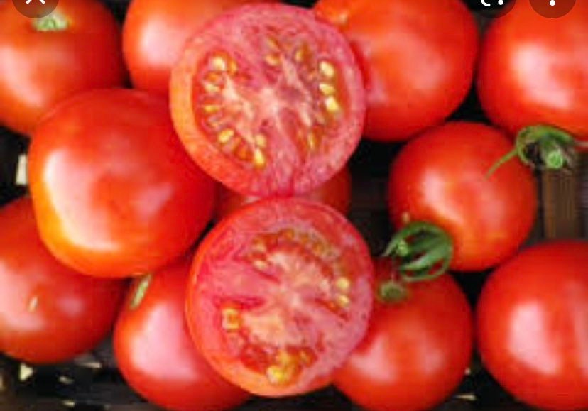 Amy’s Sugar Gem Heirloom Seeds With Gold Specks - Etsy