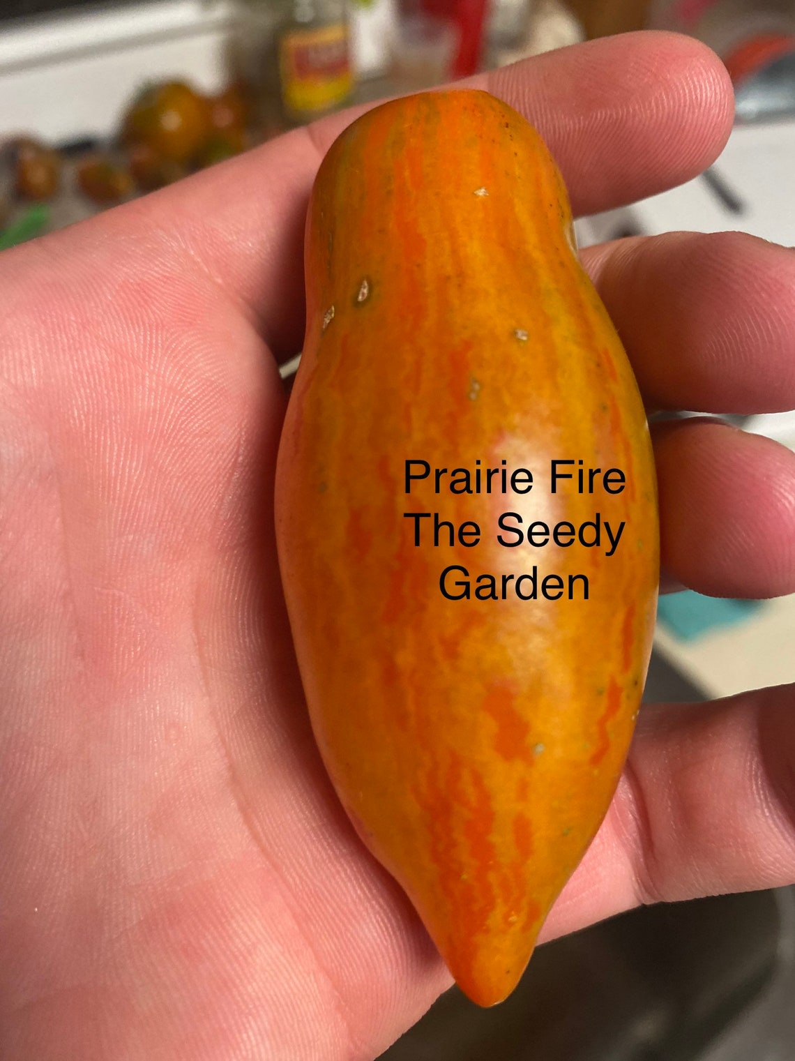 Prairie Fire Heirloom Tomato Seeds - Etsy