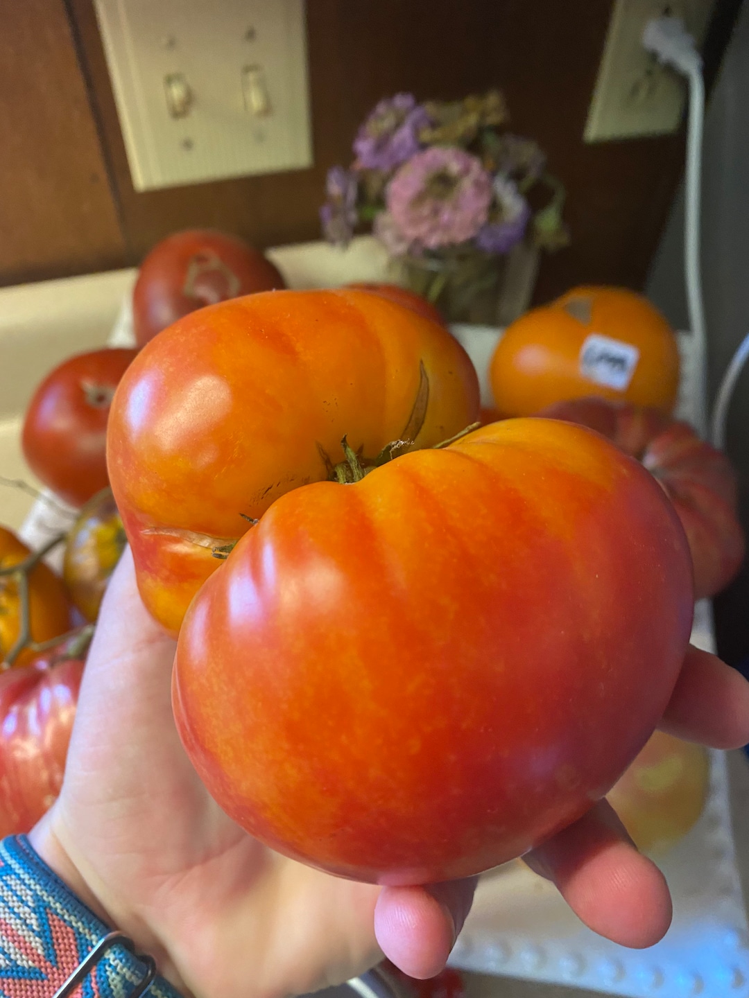 Hazel Mae Heirloom Tomato Seeds - Etsy