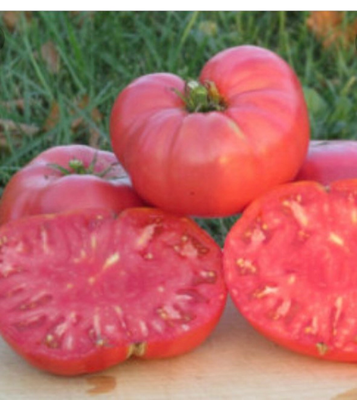 Watermelon Beefsteak Heirloom Tomato Seeds - Etsy