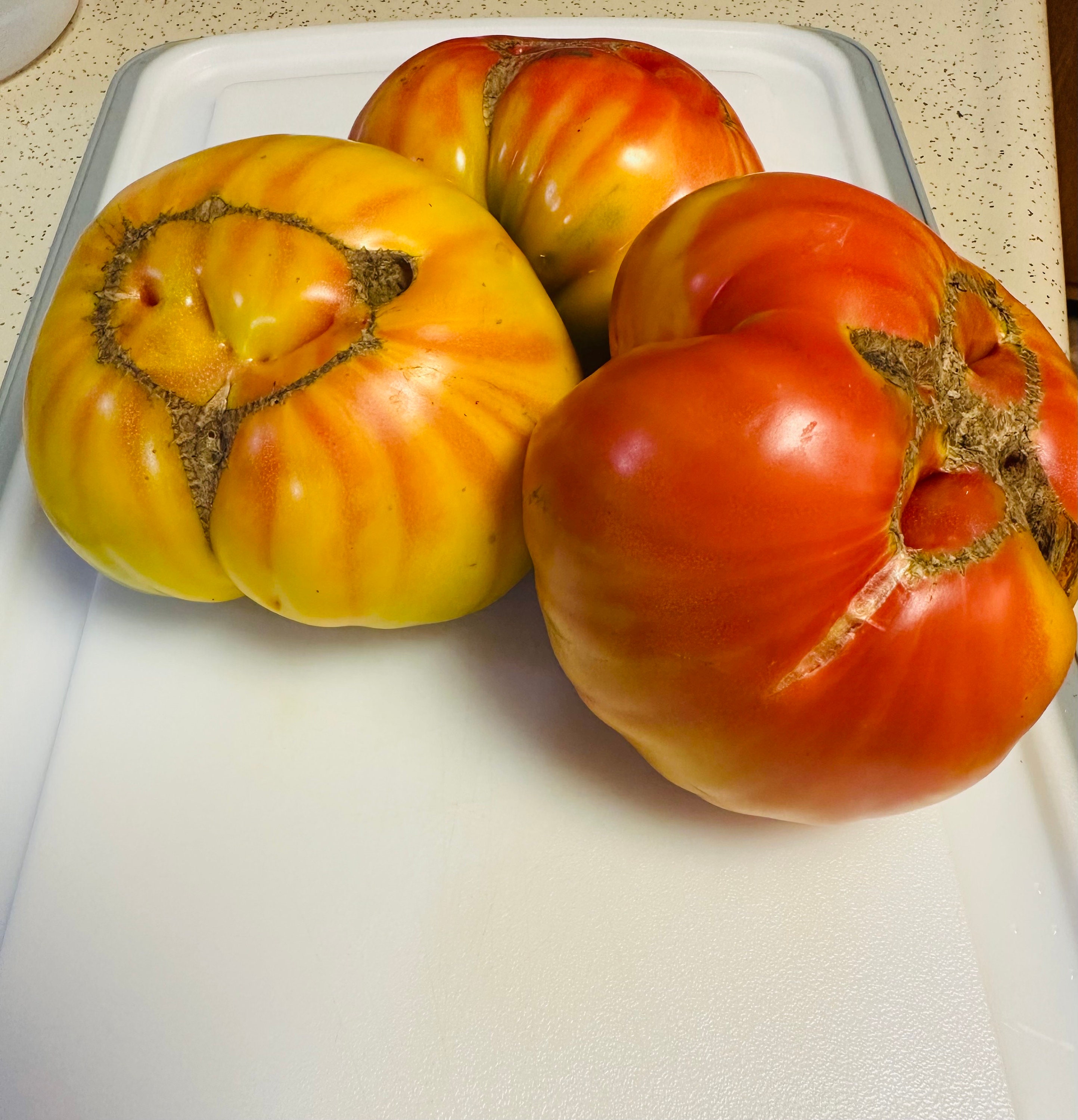 Hazel Mae Heirloom Tomato Seeds - Etsy