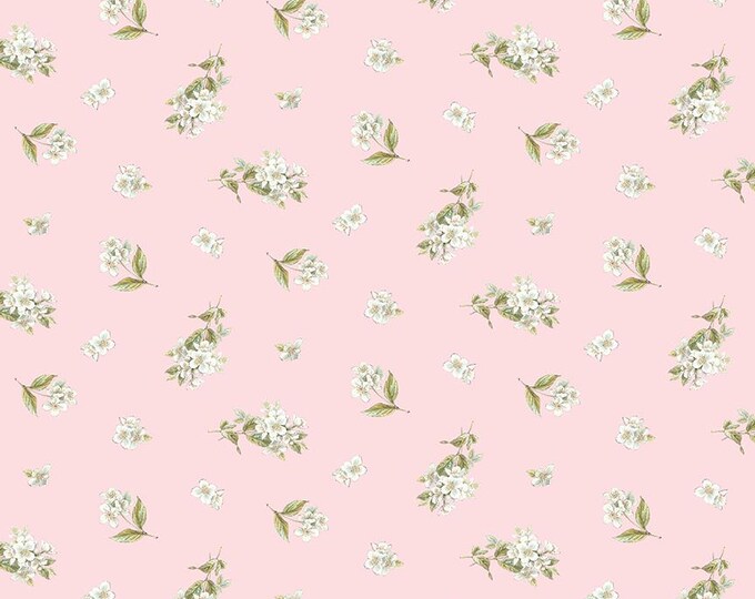 PETER RABBIT JASMINE- Pink, Riley Blake Designs - Etsy