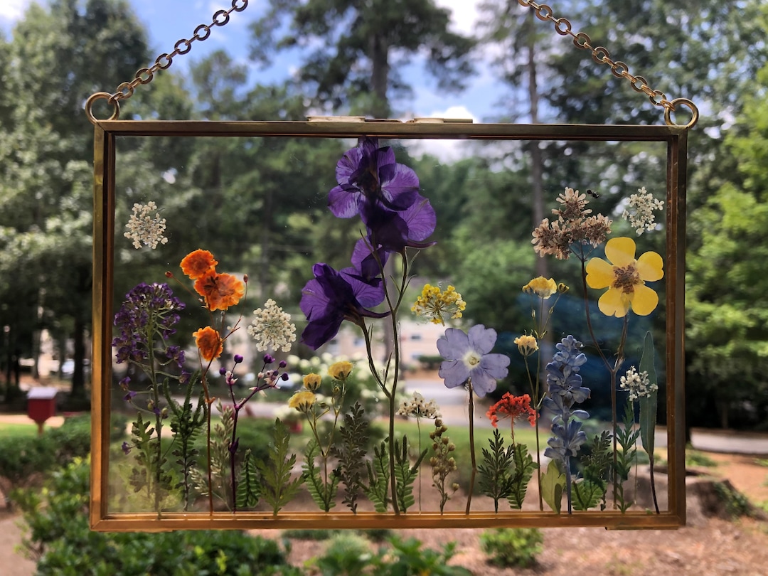 6x4 Small Pressed Flower Frame/ Floating Botanical Art - Etsy