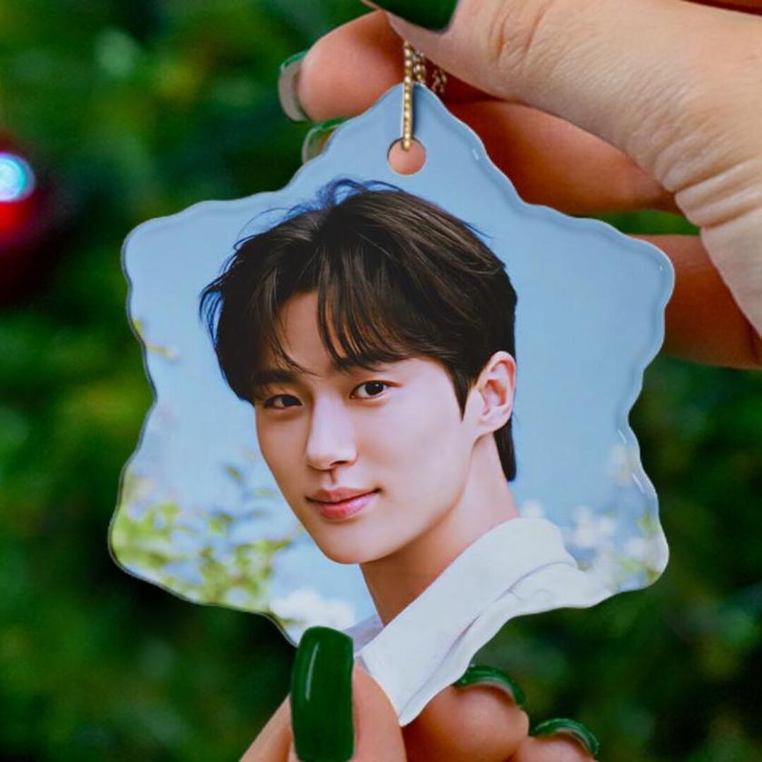 Byeon Woo Seok Ceramic Ornaments, 3 Shapes, K-drama Actor Ornaments ...