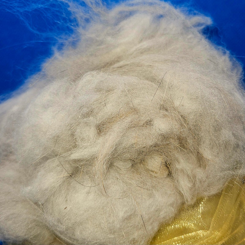 Angora Fiber - Etsy