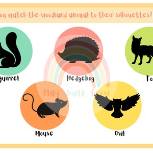 Woodland Animals Matching Activity| Montessori Woodland| Woodland ...