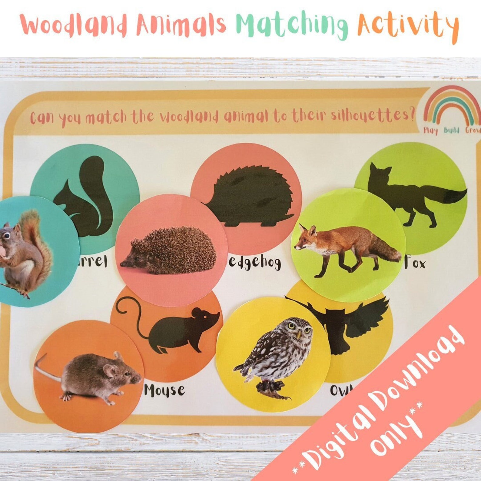 Woodland Animals Matching Activity| Montessori Woodland| Woodland ...