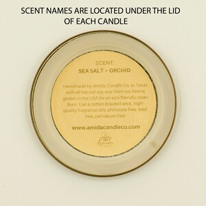 Cactus Blossom Soy Candle | Succulent Terrarium Candle | Gift for Her ...